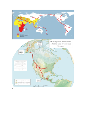 1. Lesiones POR Objeto Contundente - LESIONES POR OBJETO CONTUNDENTE ...