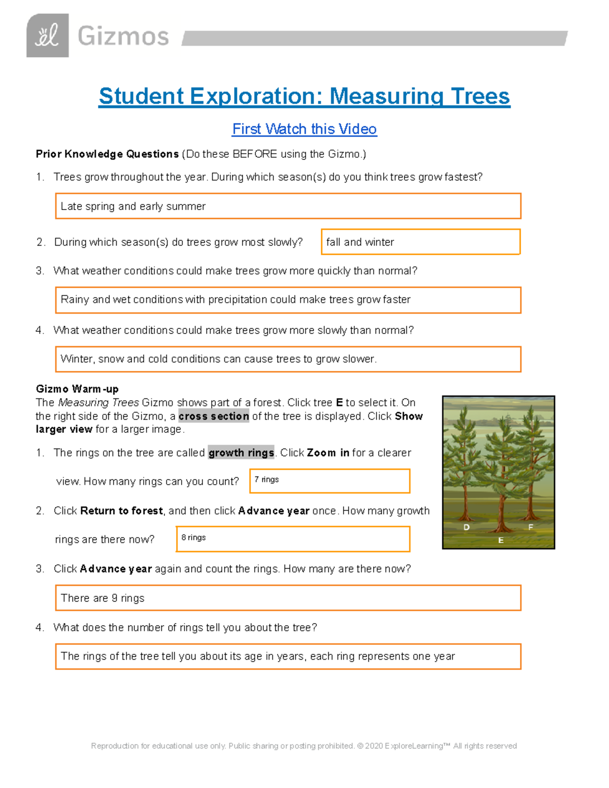 - Measuring Trees Gizmo - Student Exploration: Measuring Trees First ...