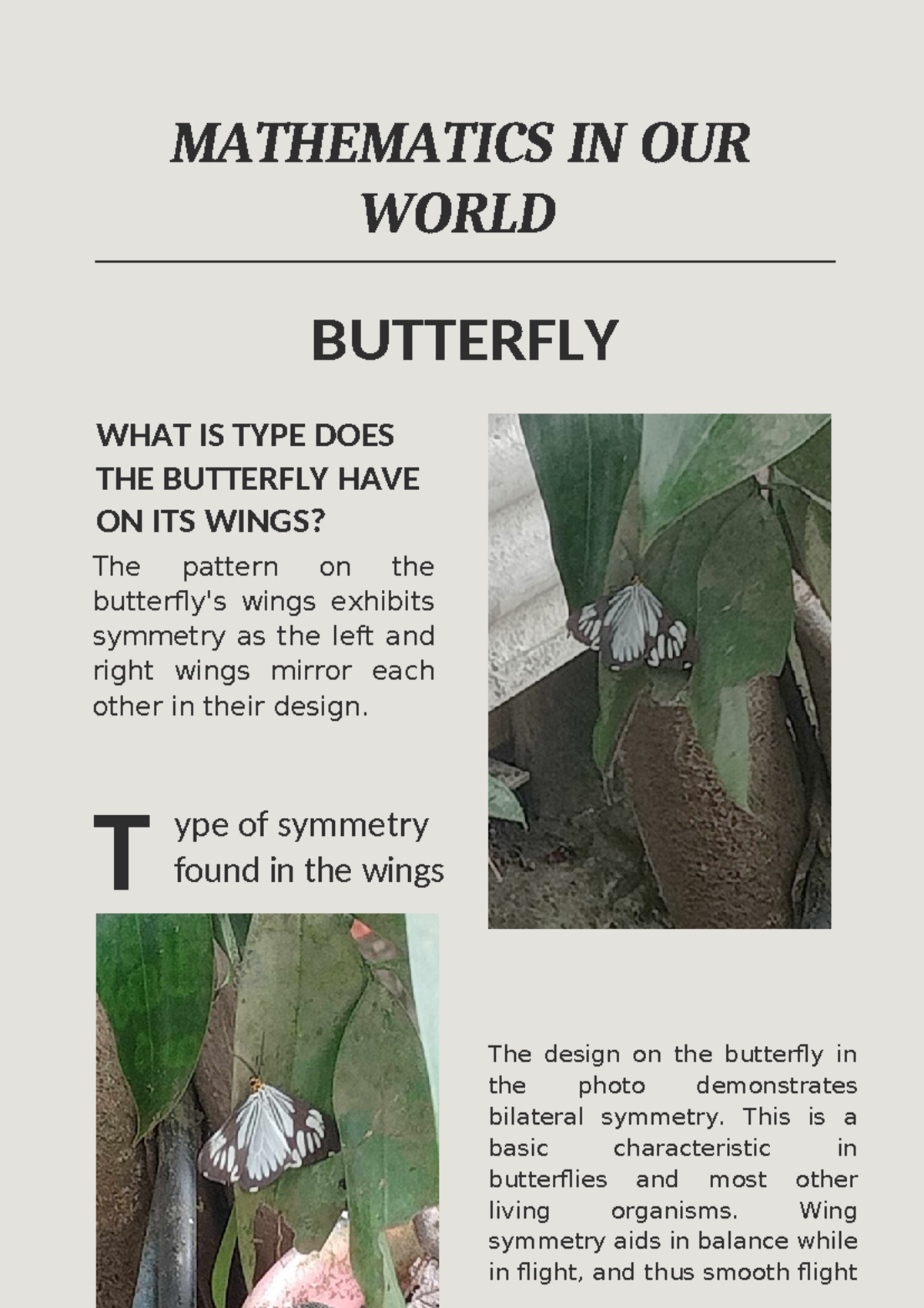 MATHEMATICS IN OUR WORLD: SYMMETRY IN BUTTERFLY WINGS - Studocu