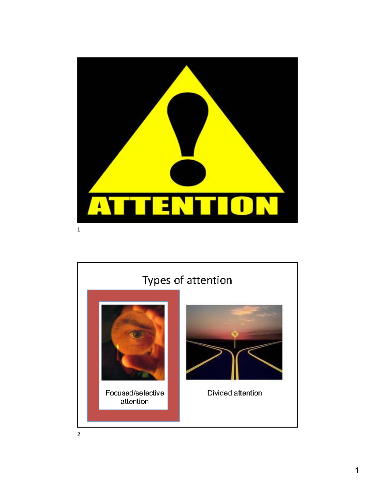 Exploring Attention: Types, Theories & Visual Perception Insights (PSY ...