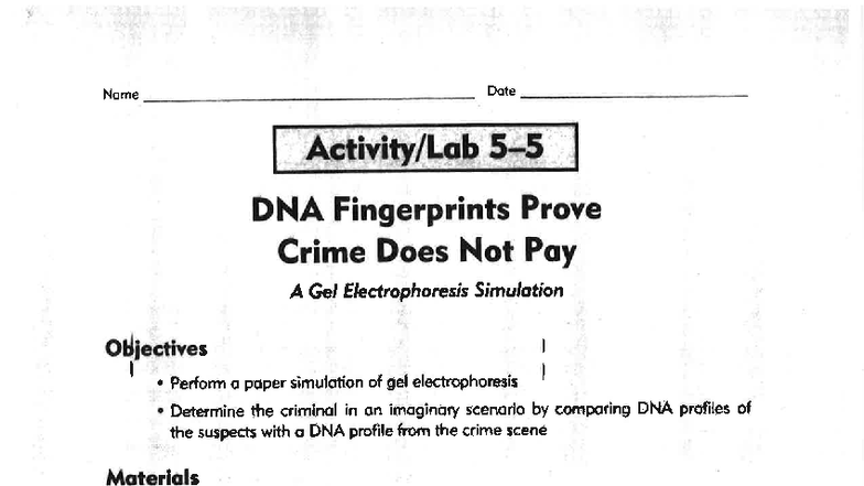 DNA Fingerprinting Lab Simulation: Proving Crime Does Not Pay - Studocu