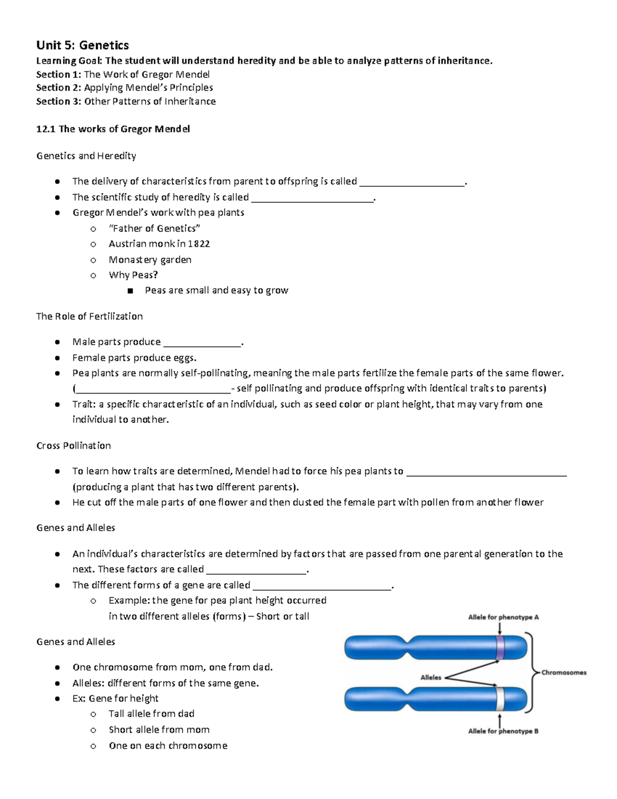 Genetics Fill-in Notes - Unit 5: Heredity & Mendelian Patterns - Studocu
