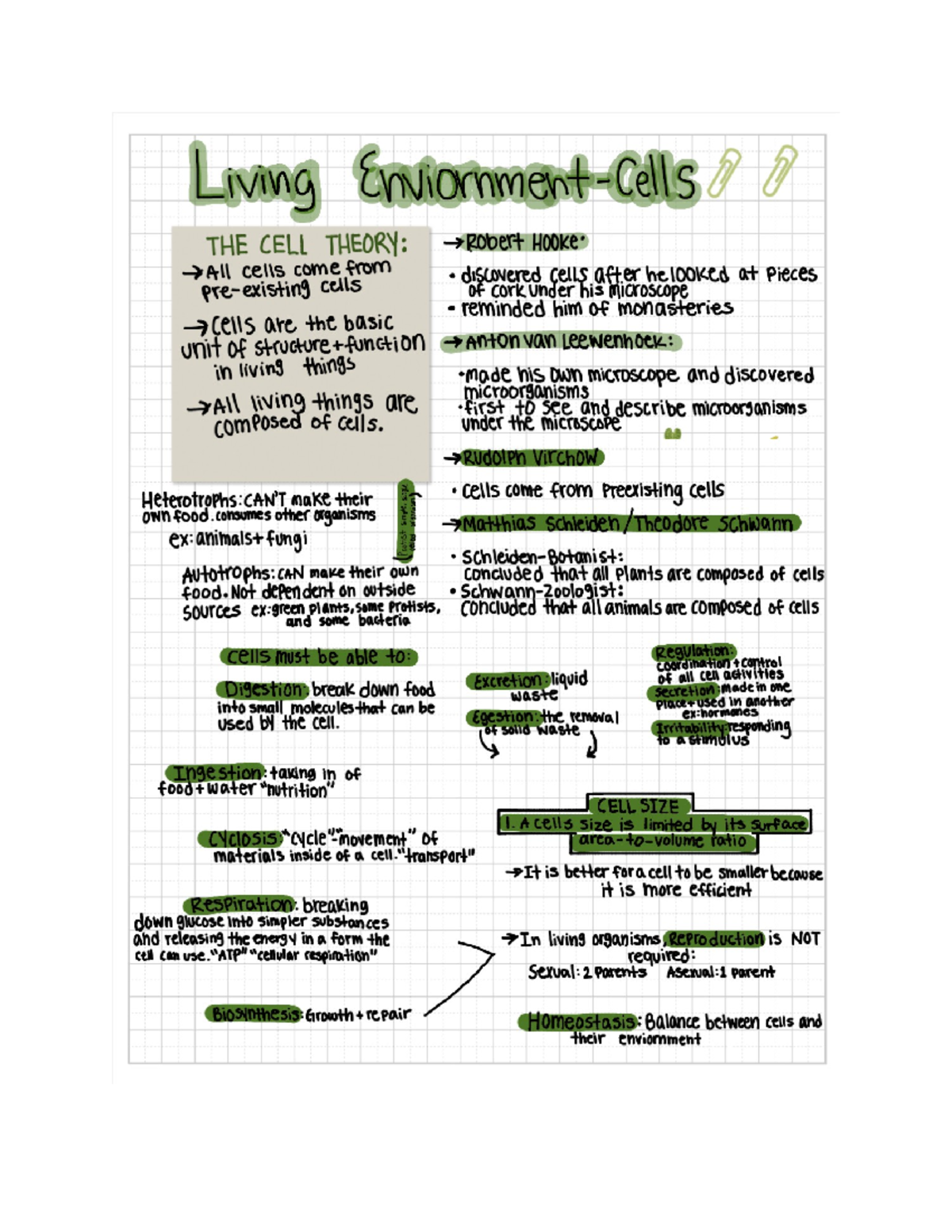 Living Environment Cells and Functions Notes - Living Q THE CELL THEORY ...