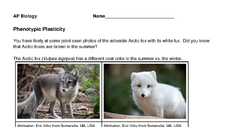 AP Biology Lesson on Phenotypic Plasticity and Adaptation - Studocu