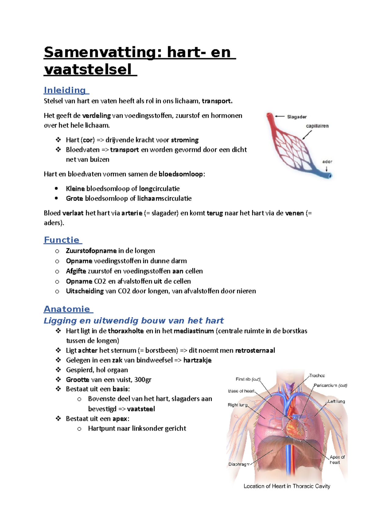 Samenvatting - Hart- en vaatstelsel: Functie en Anatomie - Studocu