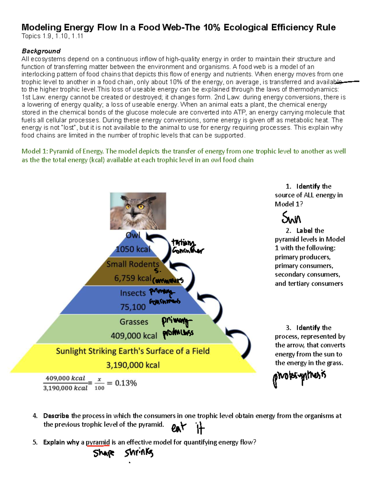 Modeling energy flow in ecosystems - AP Bio topics 1.9, 1.10, 1.11 ...