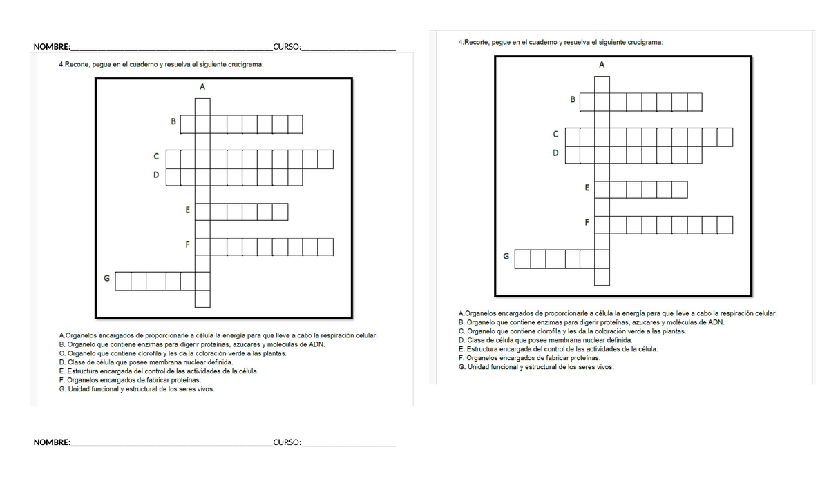 Actividad Crucigrama: Organelos y Células - Curso 4 - Studocu
