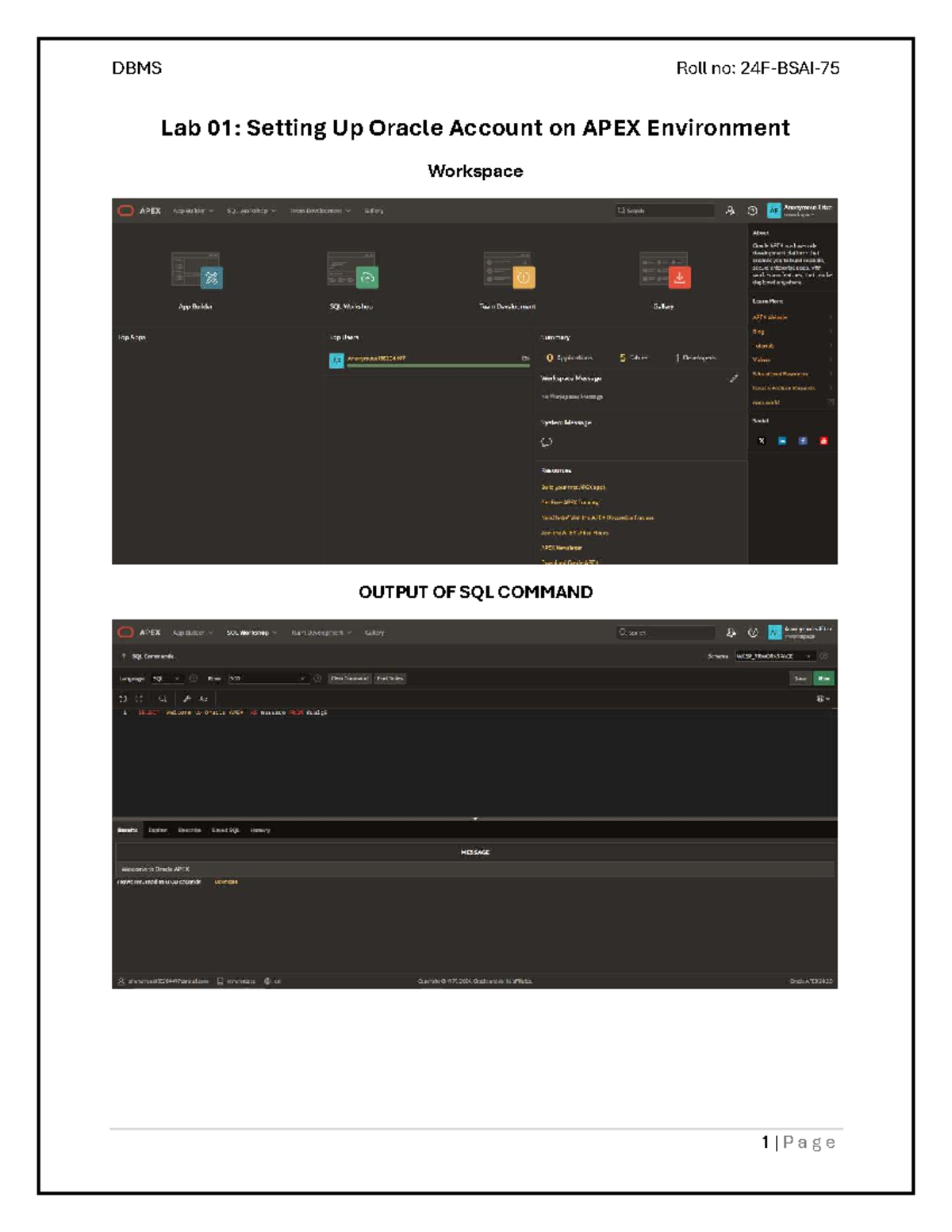 DBMS Lab 01: Setting Up Oracle APEX Environment and SQL Queries - Studocu