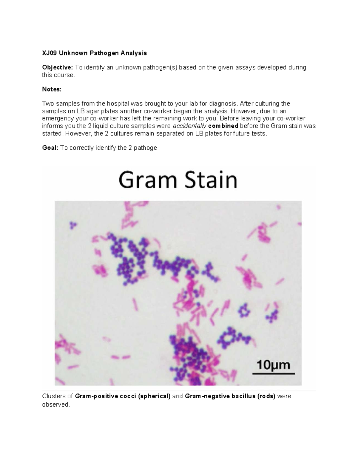 XJ09 Lab 9: Unknown Pathogen Analysis and Identification - Studocu