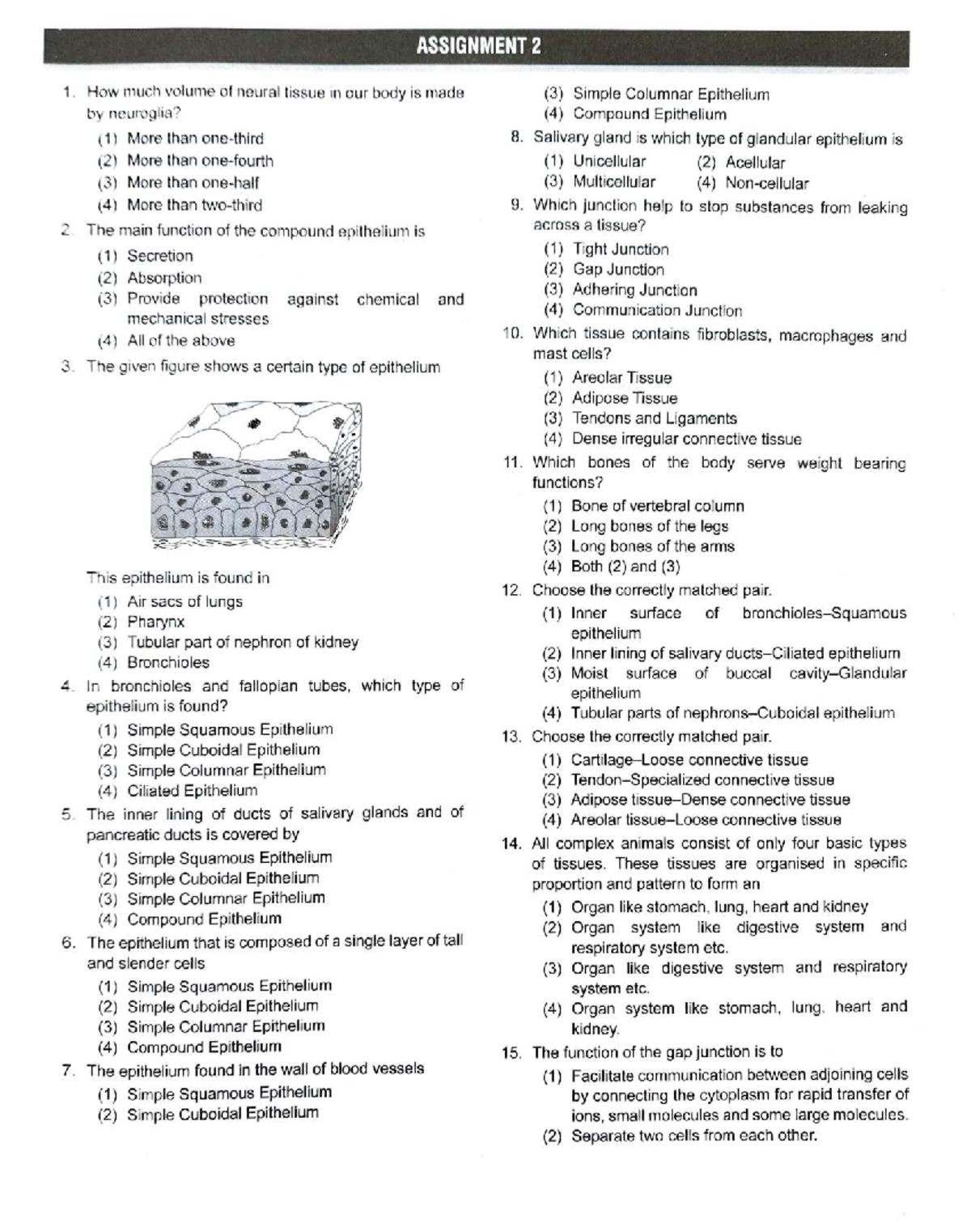 Structural Organization in Animals - Test 2 (Assignment 2) - Studocu