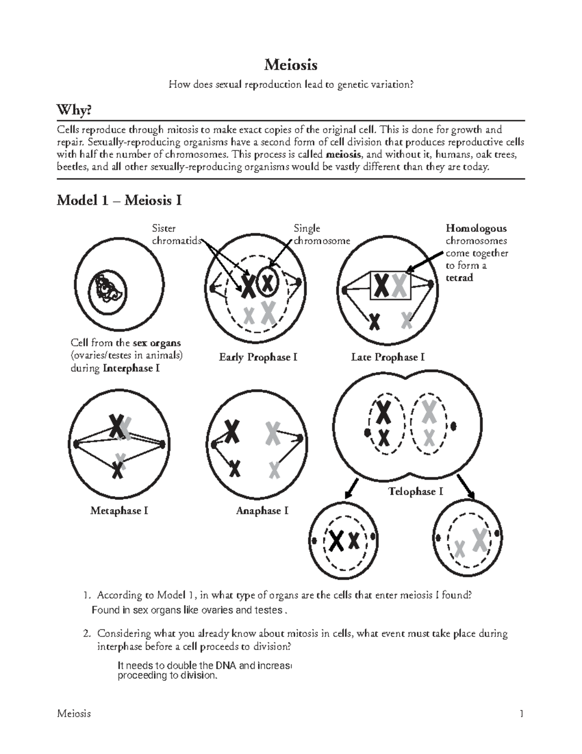 Meiosis and Genetic Variation: Understanding Sexual Reproduction in ...