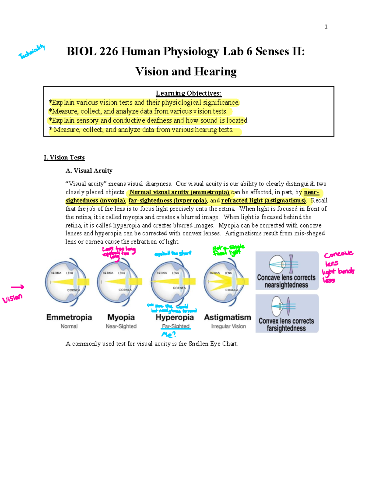 BIOL 226 Final Lab Report: Senses II - Vision and Hearing Analysis ...
