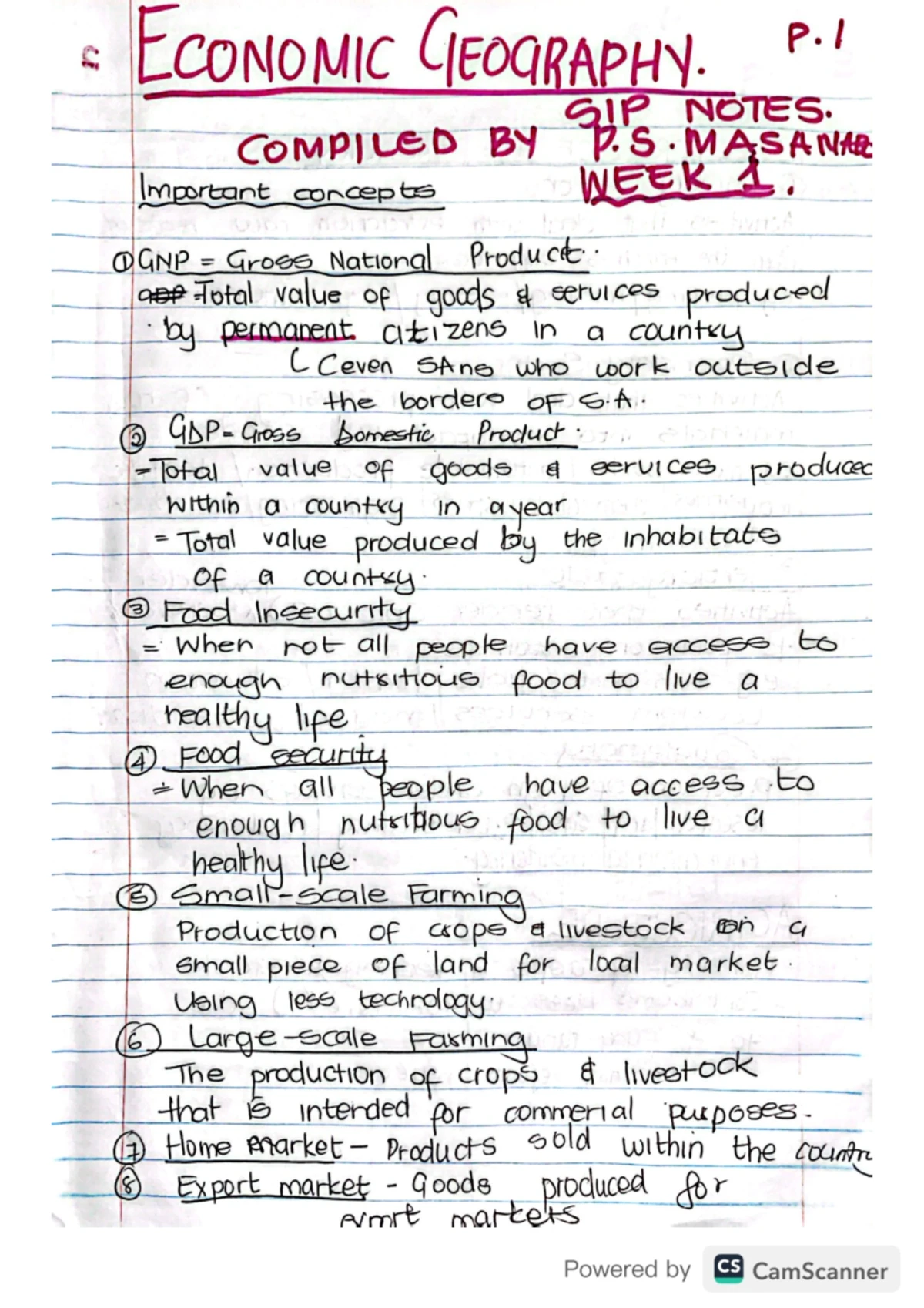 Mind the Gap Grade 12 Geography Study Guide: Economic Geography Notes ...