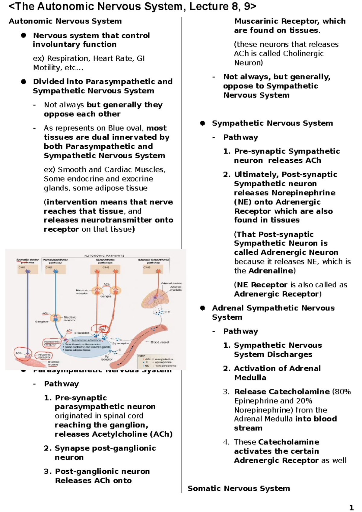 Pharmacology - The ANS and Indirect-acting drugs (Lecture 9 ...