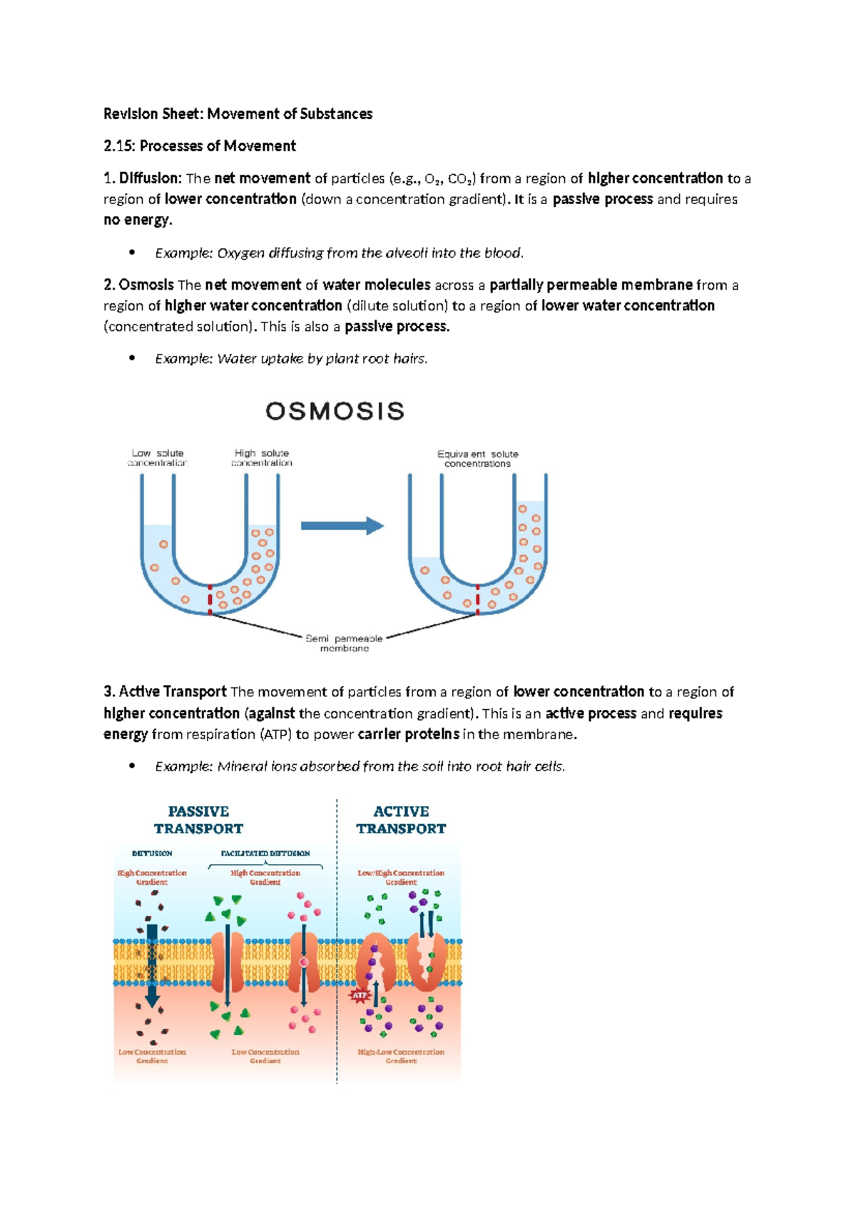 Igcse Biology Revision Sheet: Movement of Substances (Topic 3) - Studocu