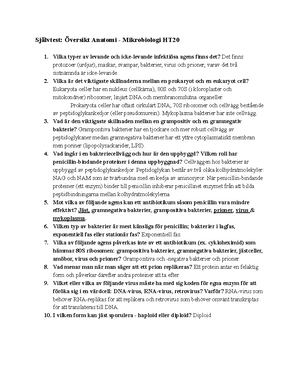 Hjärtat och cirkulationssystemet - Anatomi - hjärtat och ...