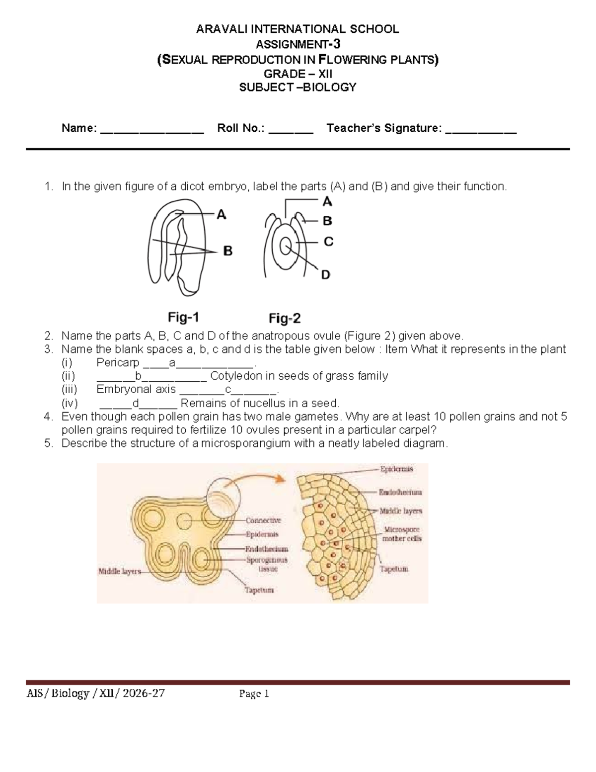 Grade XII Biology: Sexual Reproduction in Flowering Plants Notes - Studocu