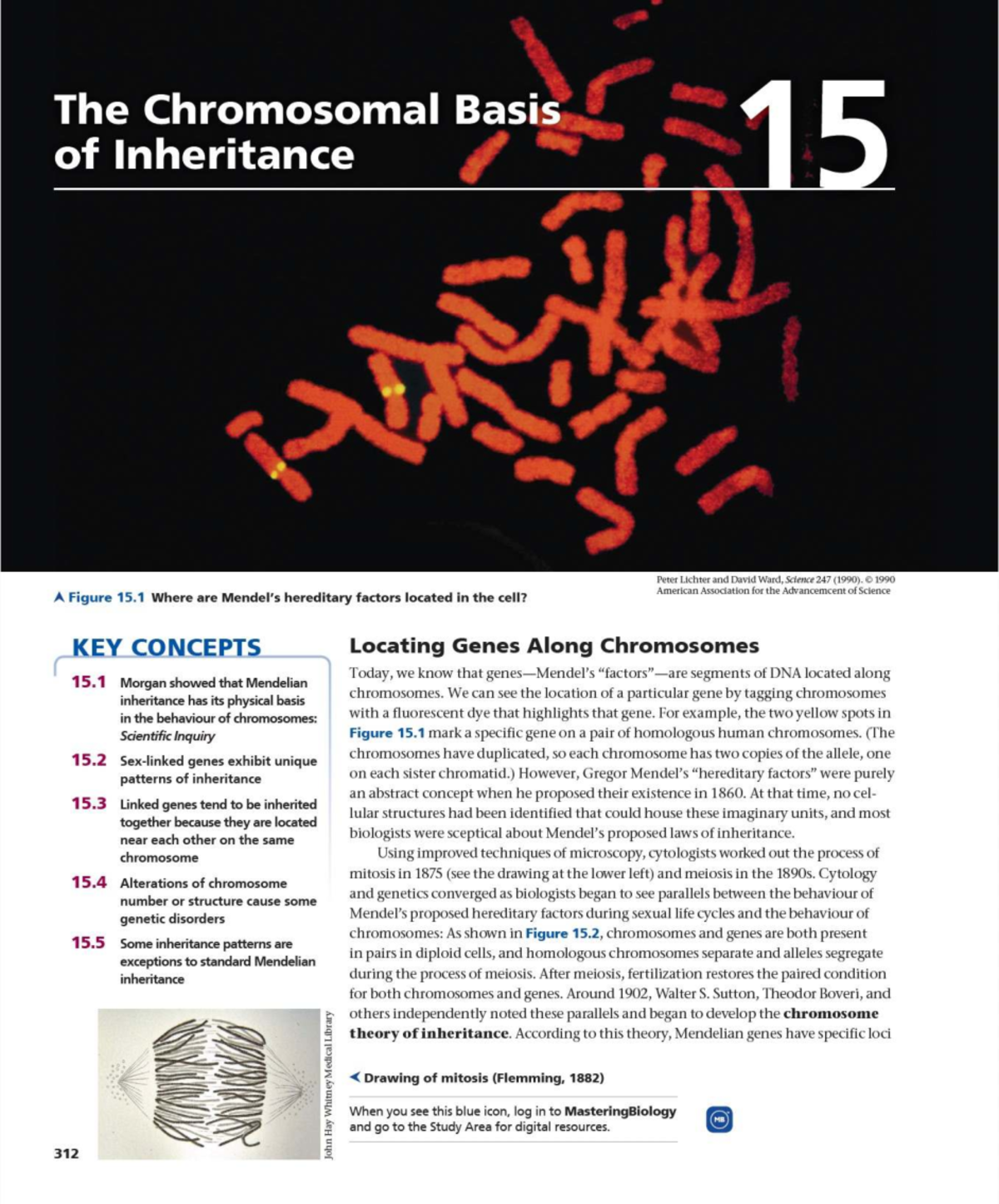Chapter 15: The Chromosomal Basis of Inheritance - Key Concepts and ...