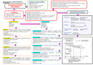 Efecto Wolff Chaikoff y Fenómeno de Escape en Endocrinología (MORF3 ...
