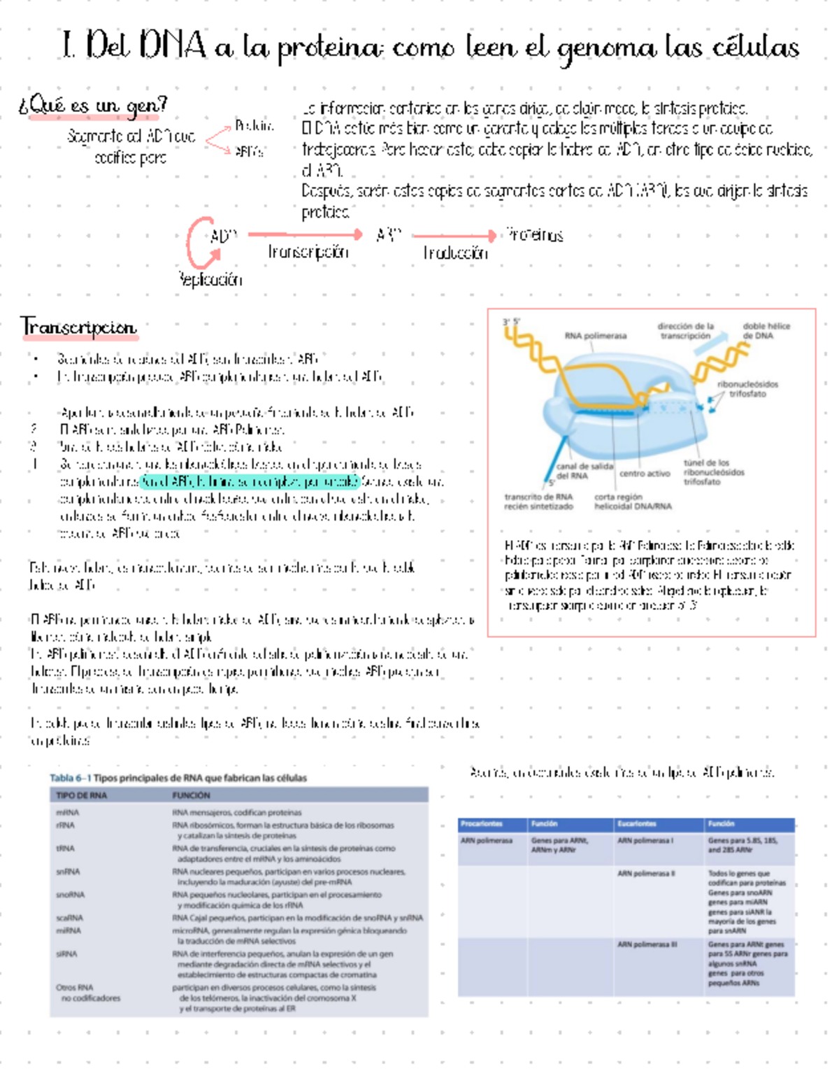 Solemne II Biocel 2 - ojala les sirva - ADN Replicación Transcripción ...