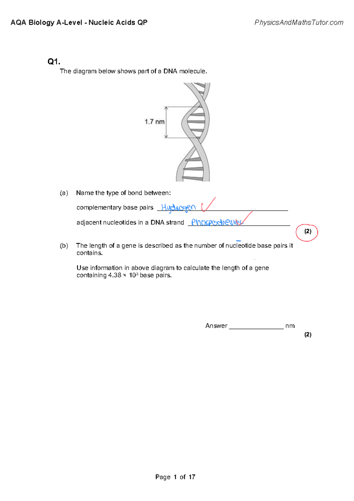 AQA Biology Nucleic Acids QP - Comprehensive Study Guide - Studocu