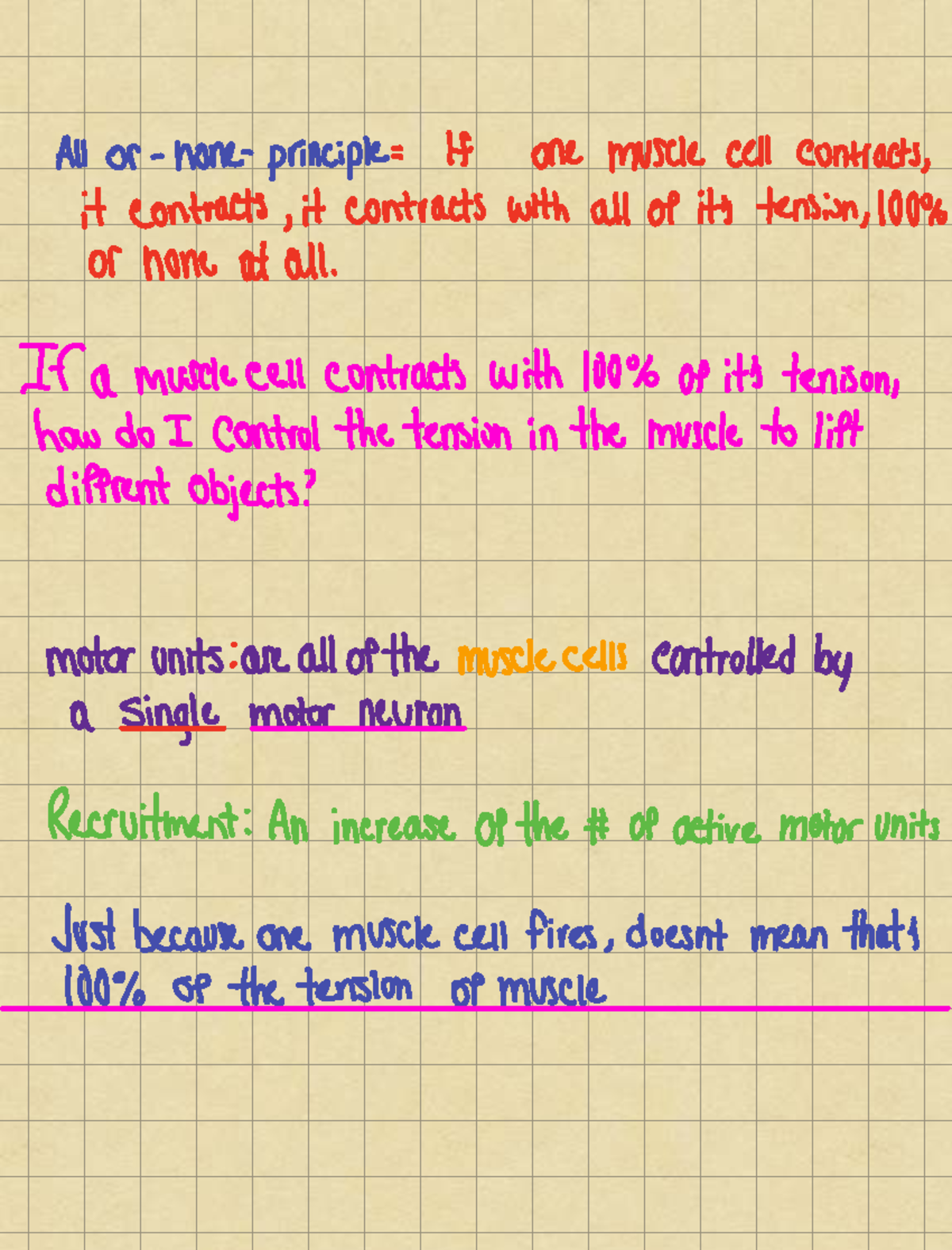 Muscle Contraction Mechanics Overview - Physiology 101 Notes - Studocu