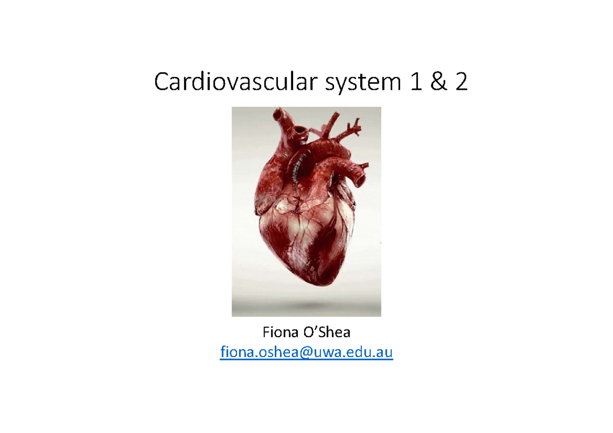 Cardiovascular System Lecture Notes 1 & 2: Anatomy & Functions - Studocu