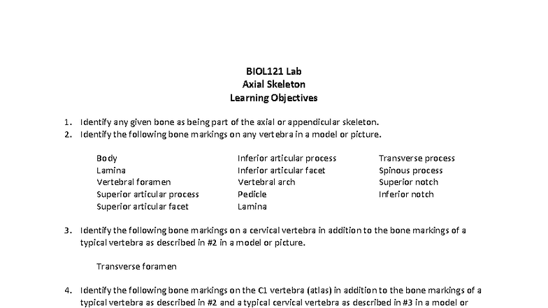 BIOL121 Lab: Axial Skeleton Learning Objectives and Bone Markings - Studocu