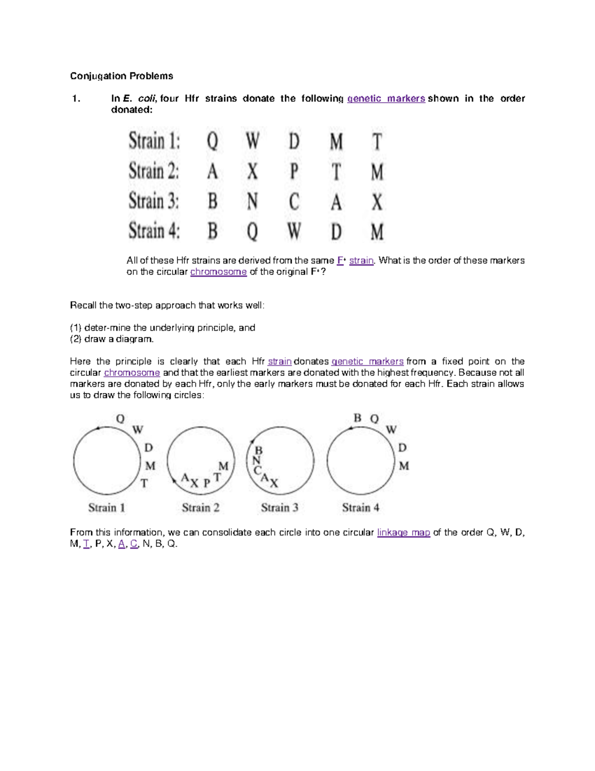 Conjugation Problems and Genetic Marker Mapping: A Study Guide - Studocu