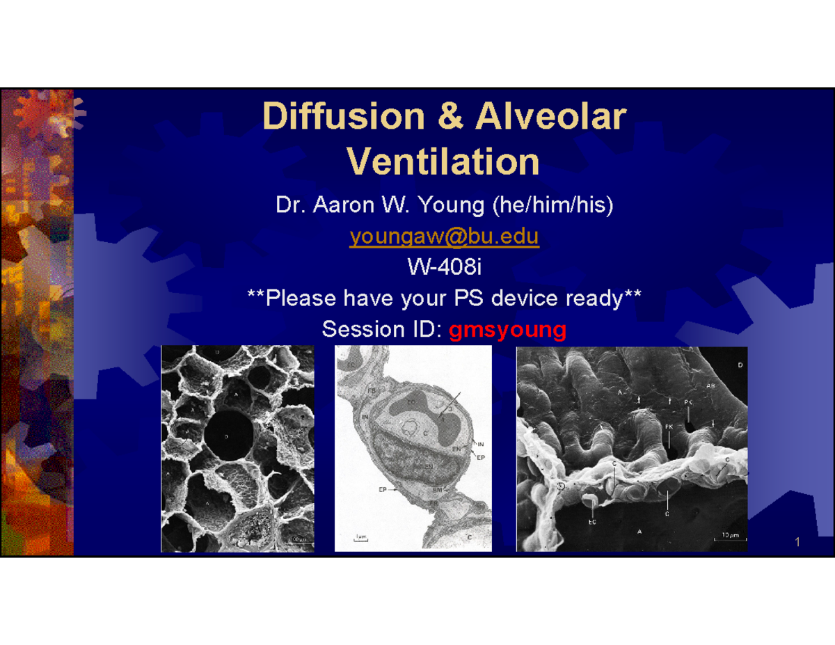 Diffusion & Alveolar Ventilation Concepts - Course Code: 2025 ...
