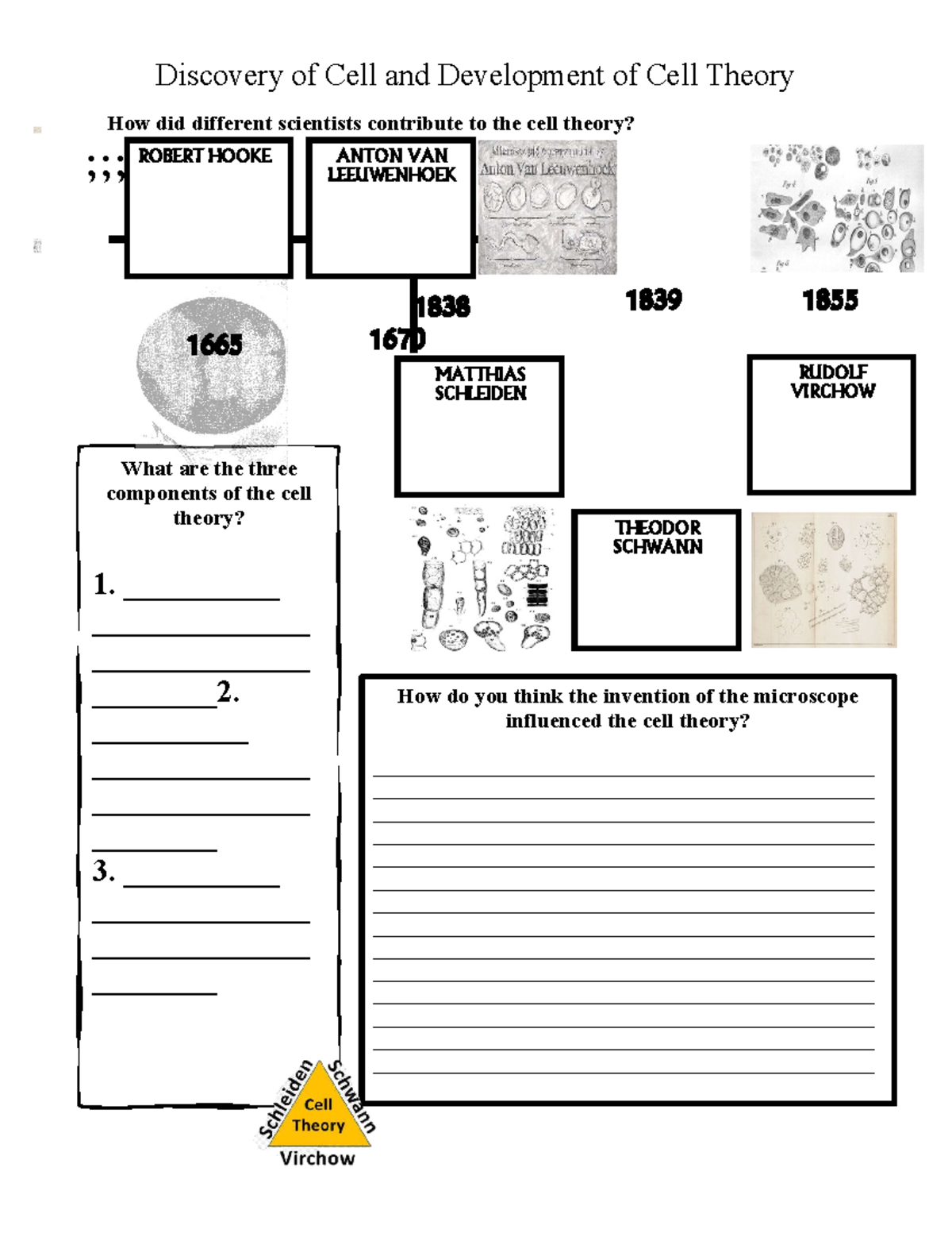 Cell Theory Worksheet - Discovery of Cell and Development of Cell ...