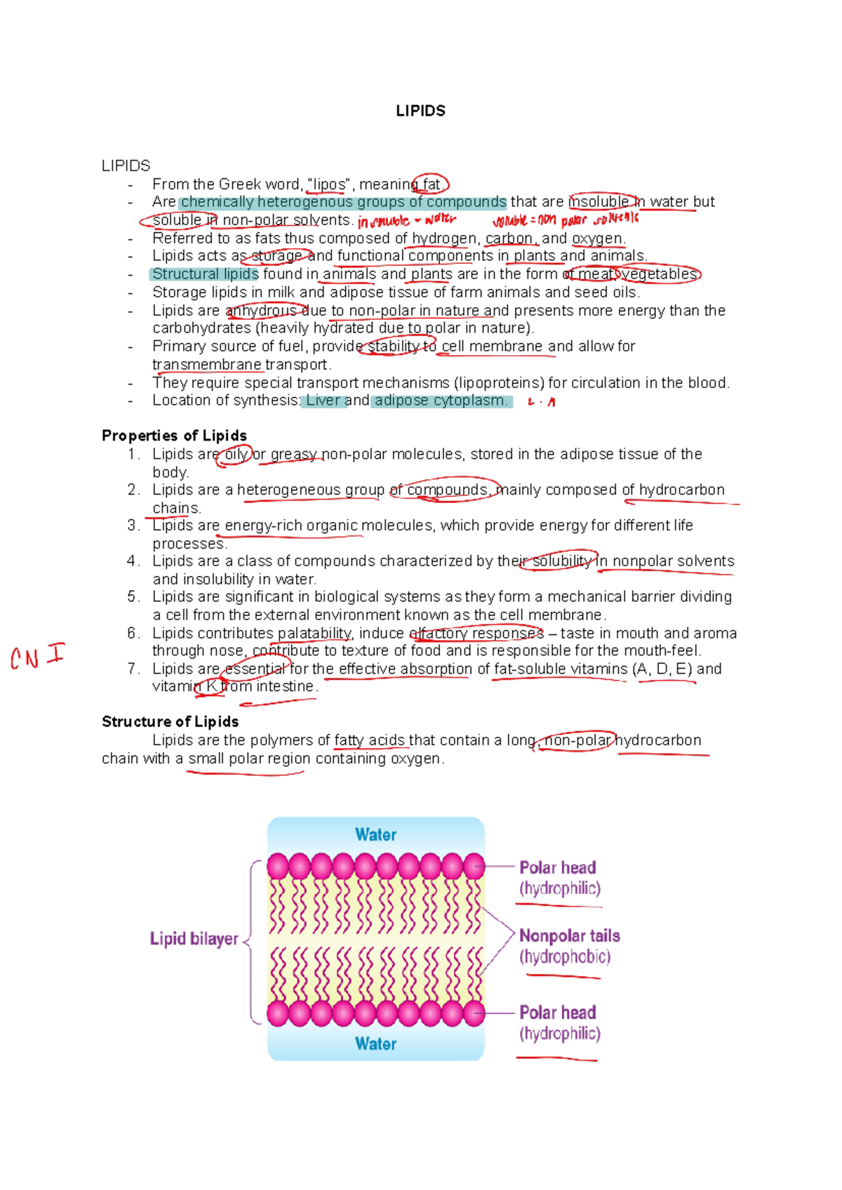 Biochemistry Lecture Notes: Lipids Overview (Course Code: 7) - Studocu