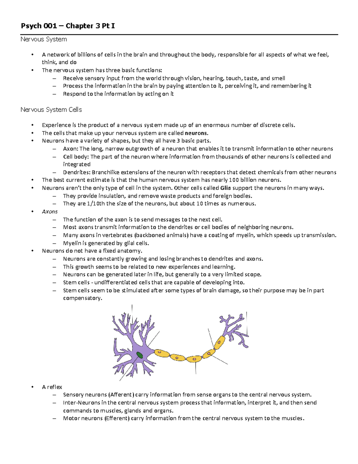 Psych 001 Lecture Outline: Chapter 3 - Nervous System Overview - Studocu