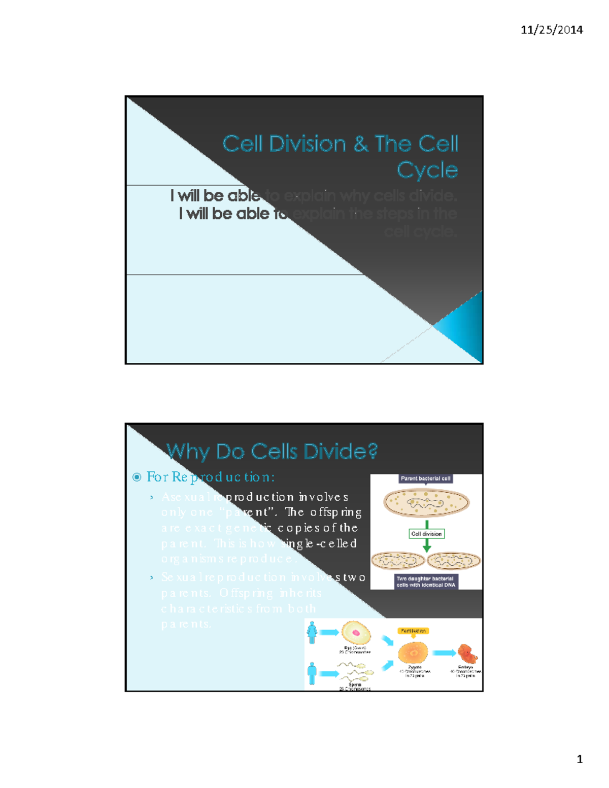 2.5 Cell Division & The Cell Cycle: A Study of Reproduction and Growth ...