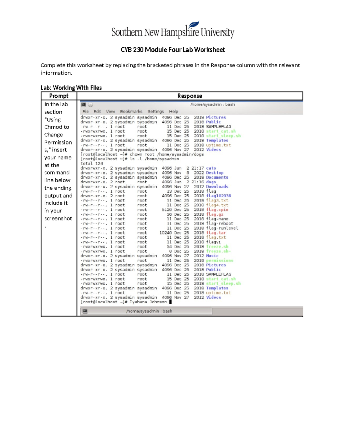 CYB 230 Module Four Lab Worksheet: File Permissions & Log Analysis - Studocu