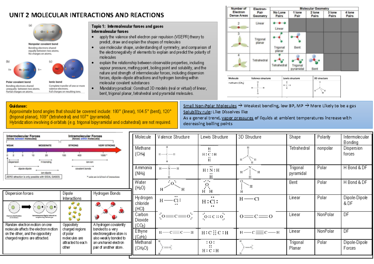 Unit 2 Graphic Organizer: Intermolecular Forces and Gases Explained ...