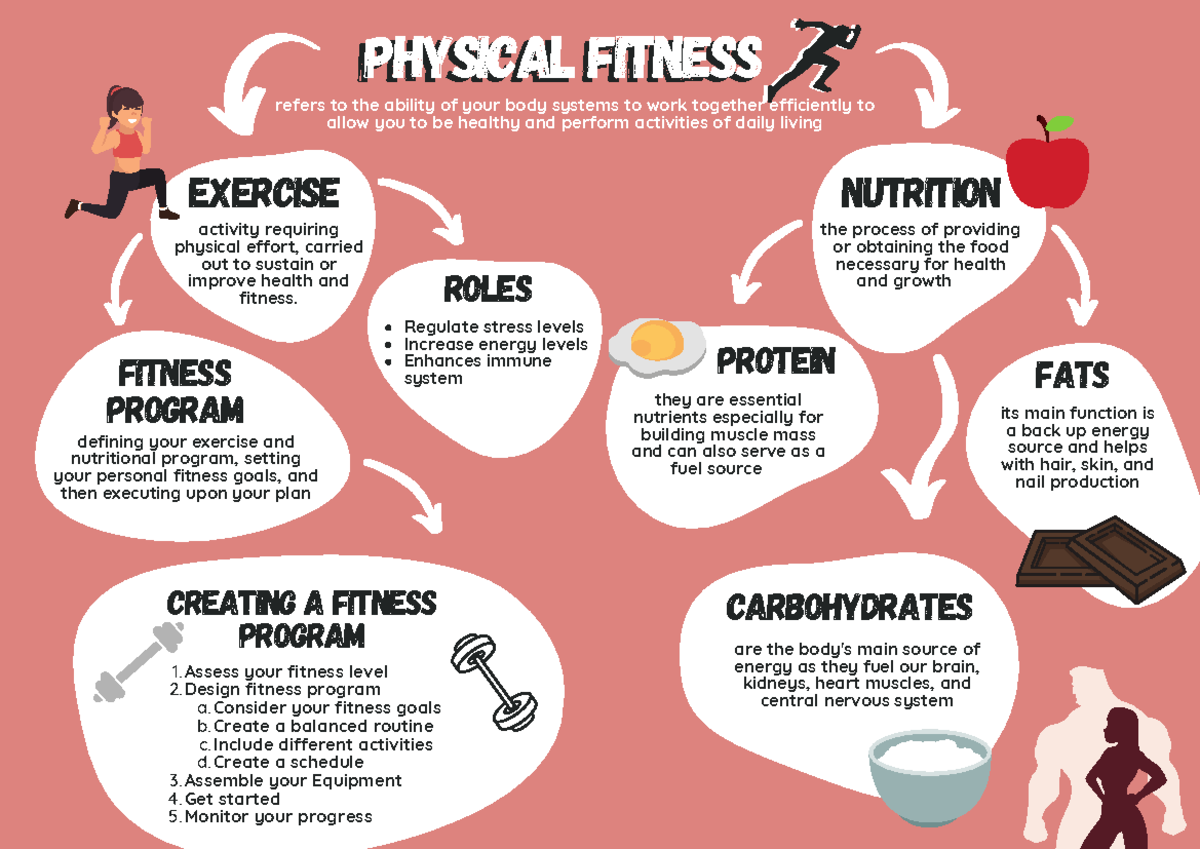 Physical Fitness Graphics Organizer - PHYSICAL FITNESSPHYSICAL FITNESS ...