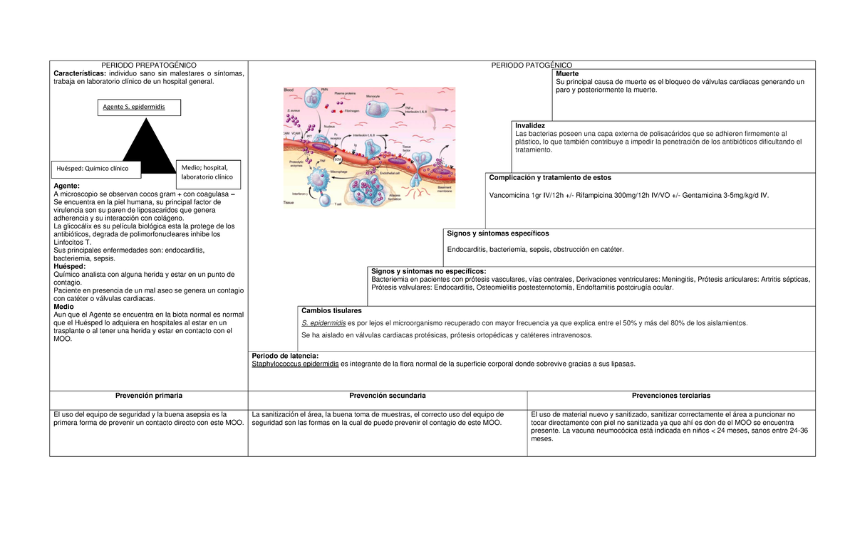 Características del Periodo Prepatogénico y Patogénico de S ...