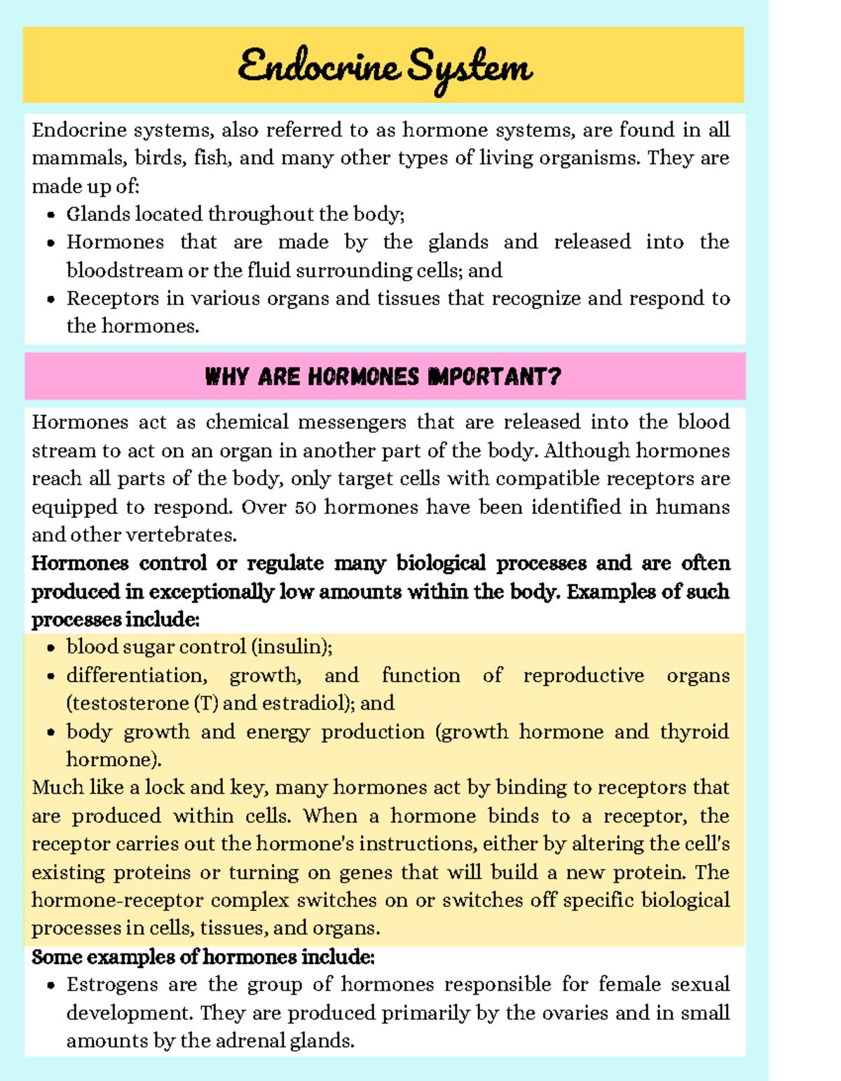 Endocrine System Disorders: Overview and Key Insights - Studocu
