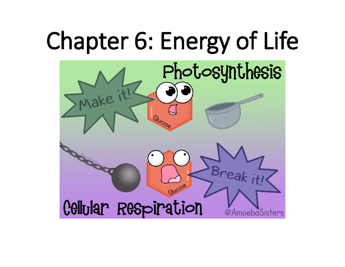 Biol 1010: Chapter 6 - Overview of Photosynthesis & Light Reactions ...