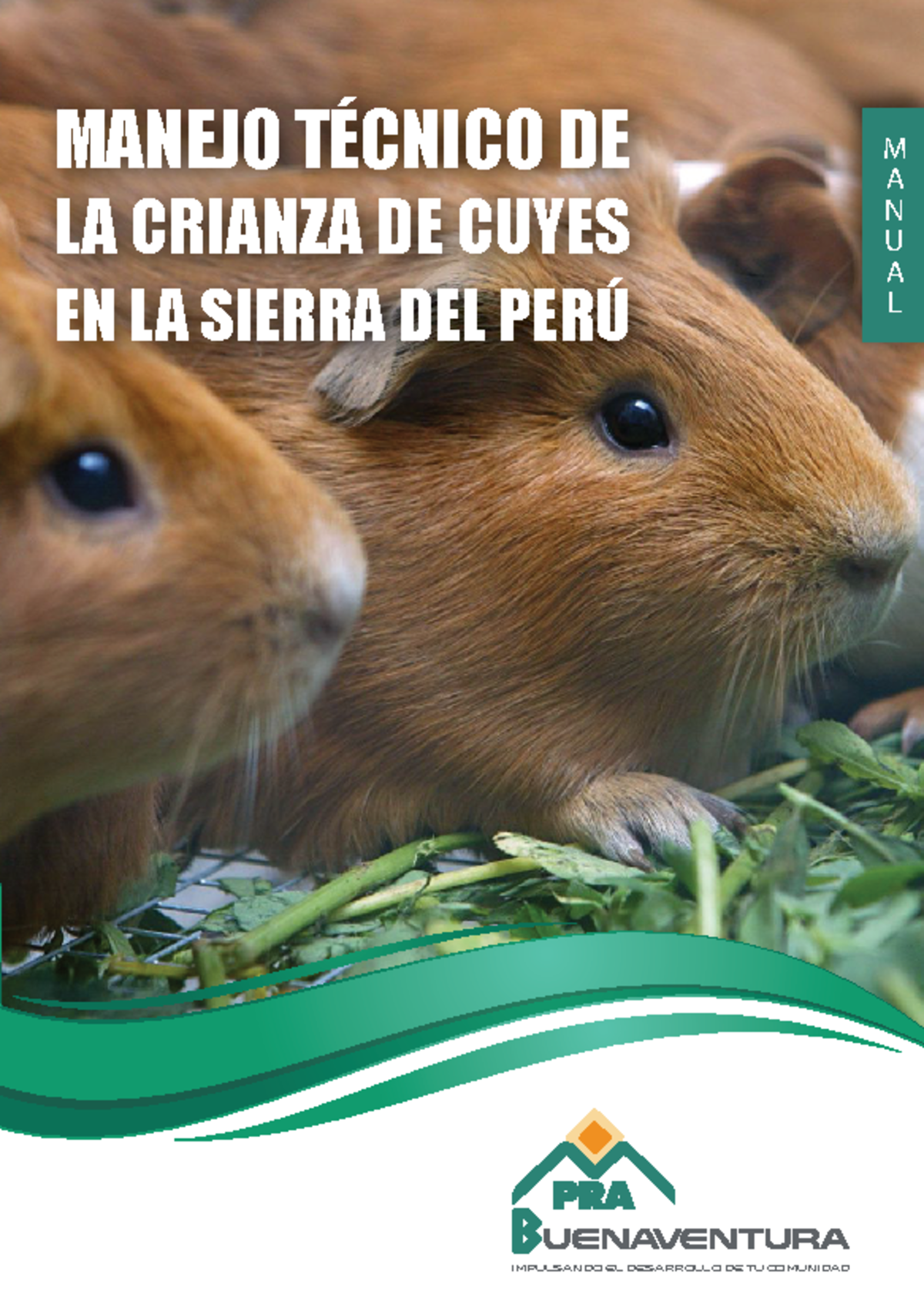 Manual Técnico CUY 1: Crianza de Cuyes en la Sierra del Perú - Studocu