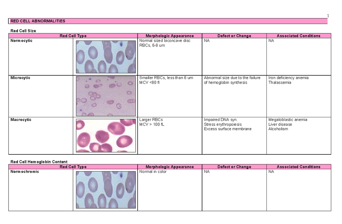 Hema Reviewer: RBC/WBC Abnormalities Summary & Analysis - Studocu