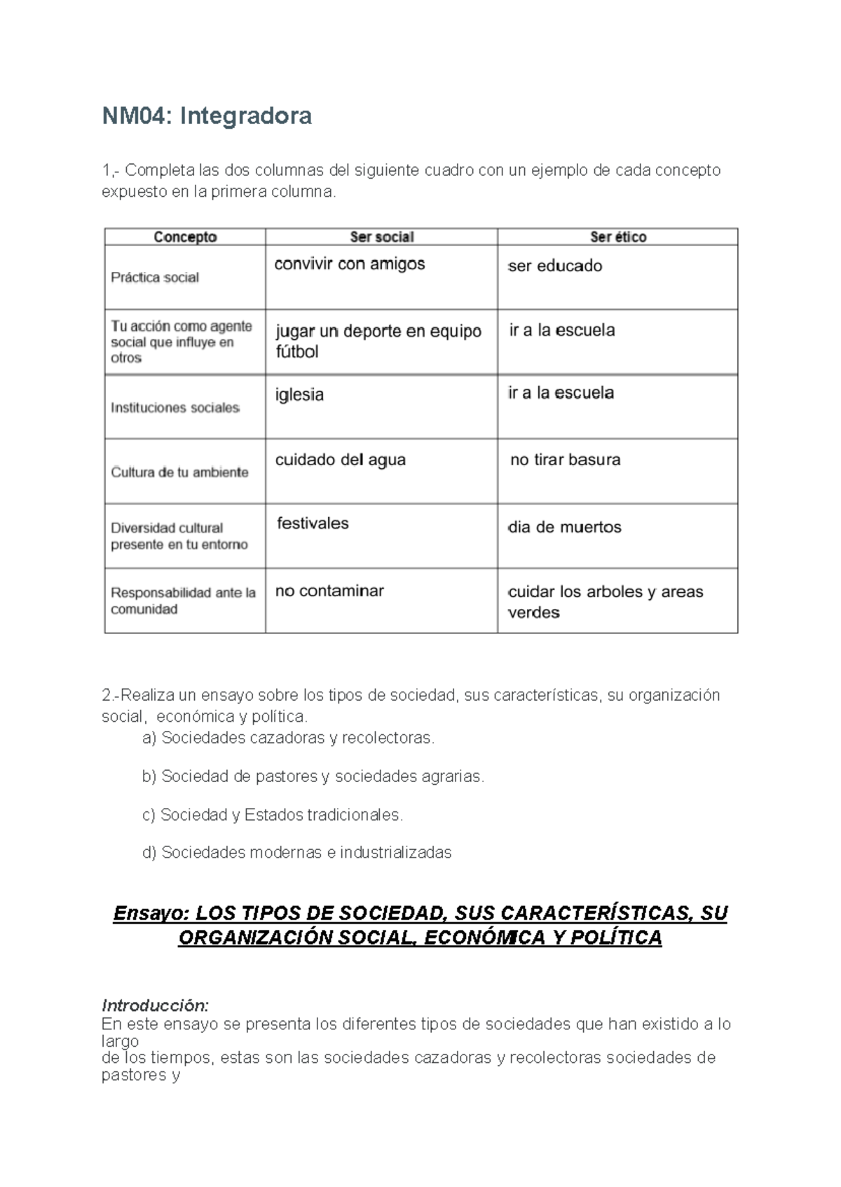 NM04: Ensayo sobre Tipos de Sociedad y su Organización Social - Studocu