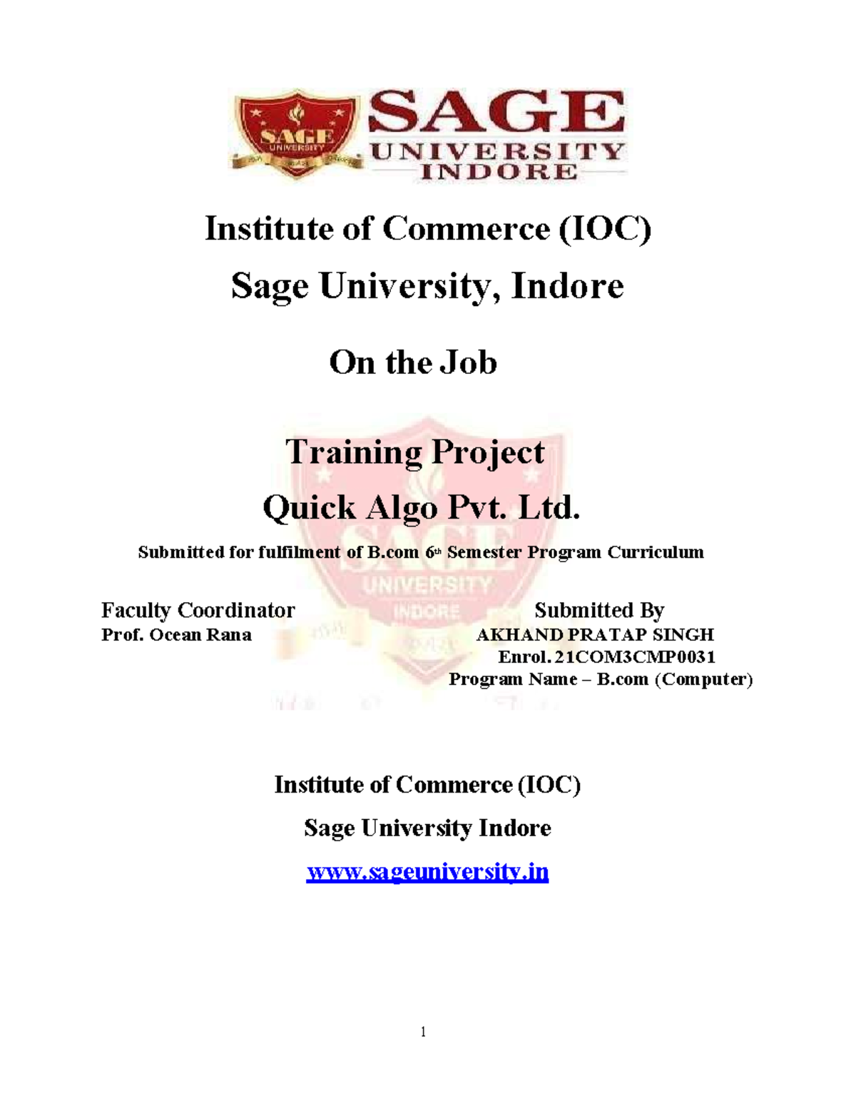 B.Com 6 Sem Internship Report: Back End Support at Quick Algo Pvt. Ltd ...
