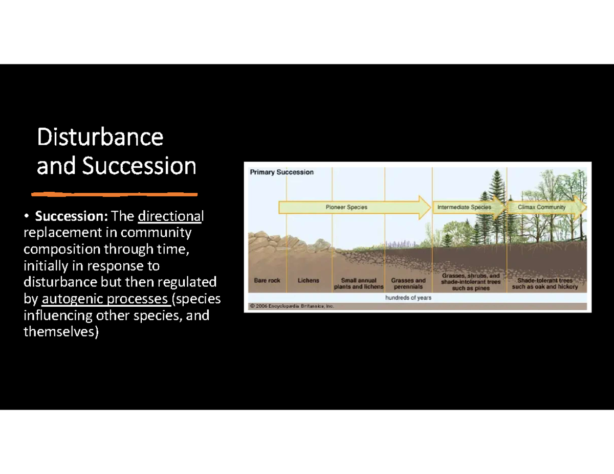 BIOL 3060 Lecture 11: Disturbance and Ecological Succession Insights ...
