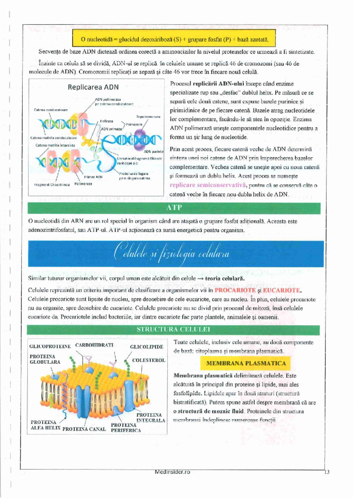 Cap 03: Celulele - Note de Studii pentru Biologie (BIO101) - Studocu