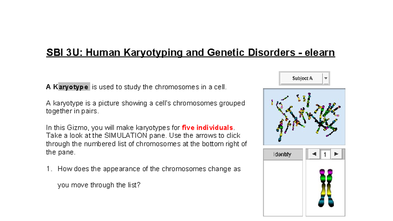 SBI 3U: Karyotyping & Genetic Disorders Gizmo Activity A & B - Studocu