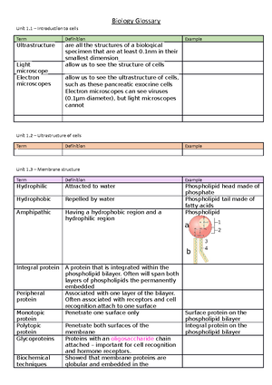 Bio student experiment exemplar copy - 180957 Biology 2019 v1. IA2 high ...