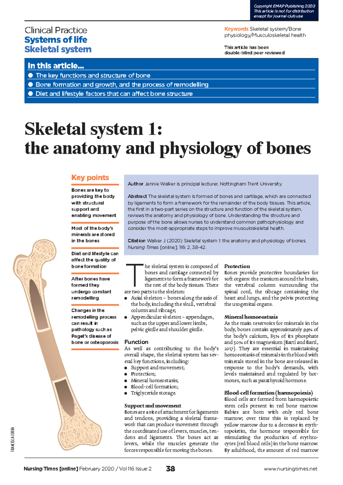 Skeletal System 1: Anatomy and Physiology of Bones (Nursing Times ...