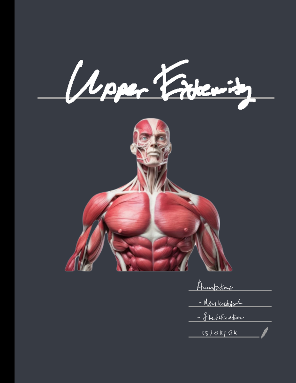 Upper Extremity Anatomy: Diagrams & Notes (ANAT 101) - Studocu